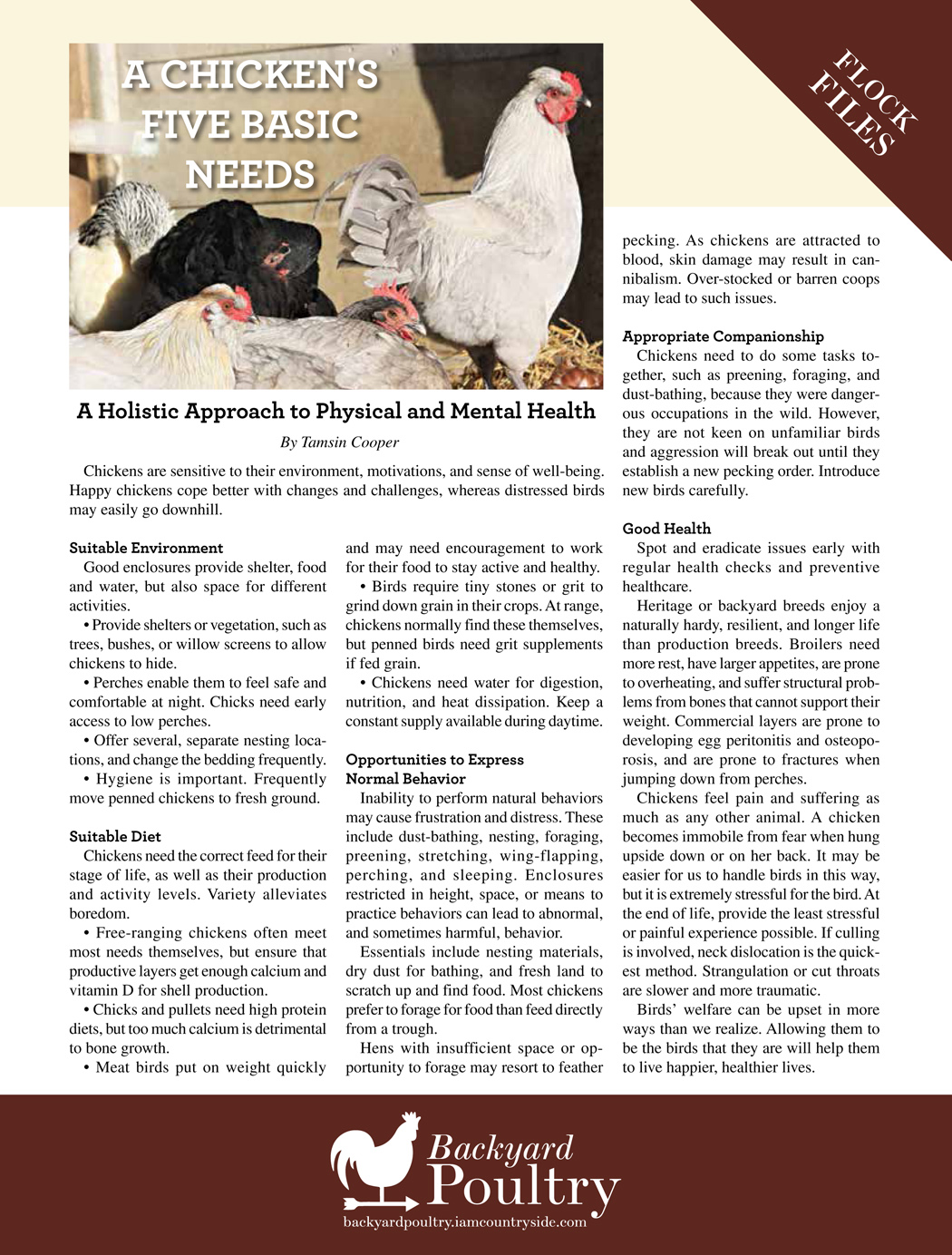 A Chicken's Five Basic Needs - Backyard Poultry